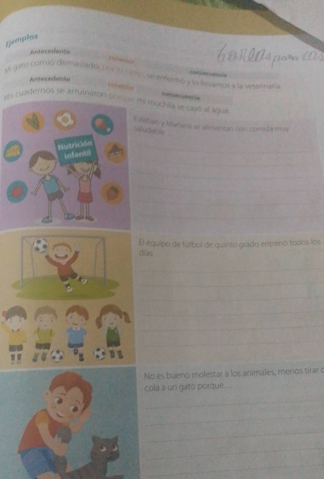 Resuelto:Ejemplos Antecedente Mi gato comió demaslado; por ln fanto, se ...