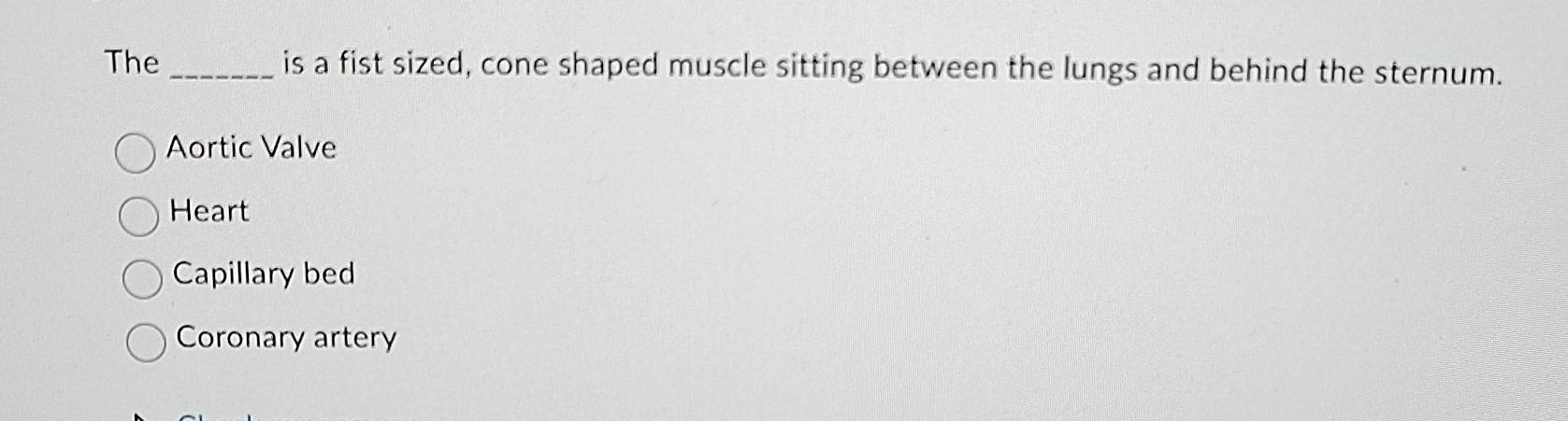 Solved: The _is a fist sized, cone shaped muscle sitting between the ...