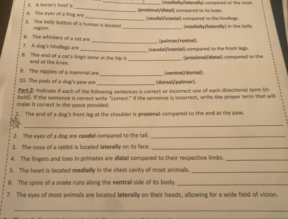Solved: (medially/laterally) compared to the nose. 3. A horse's hoof is ...