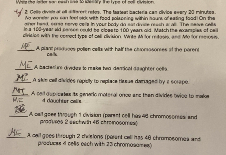 Gelöst:Write the letter son each line to identify the type of cell ...