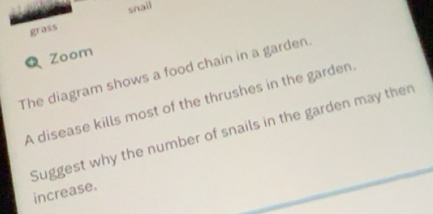 Solved: snail grass Zoom The diagram shows a food chain in a garden A ...