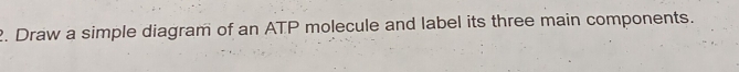 Solved: Draw a simple diagram of an ATP molecule and label its three ...