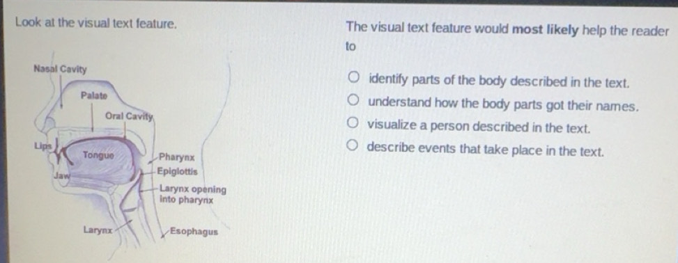 Solved: Look at the visual text feature. The visual text feature would ...