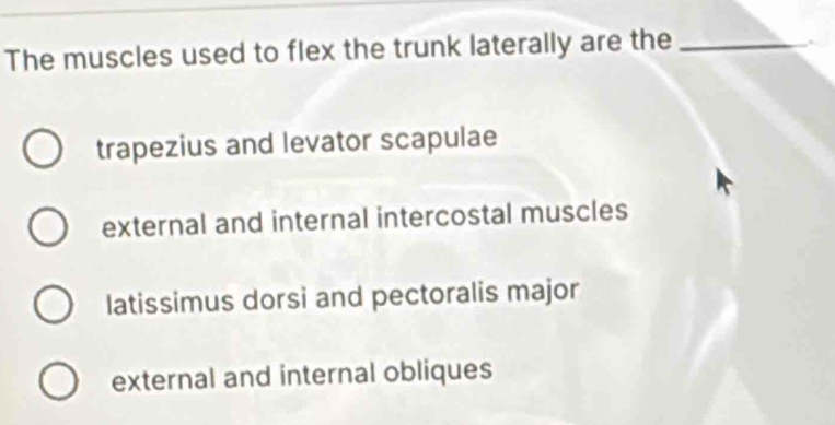 Solved: The muscles used to flex the trunk laterally are the ...