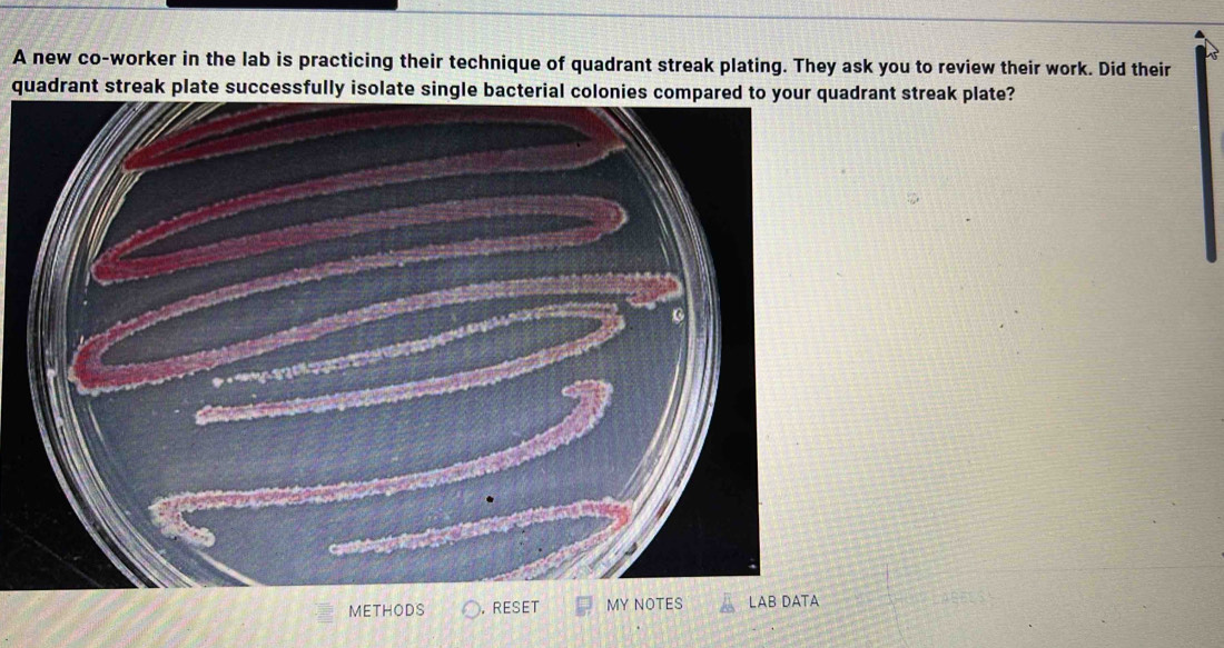 Solved: A new co-worker in the lab is practicing their technique of ...
