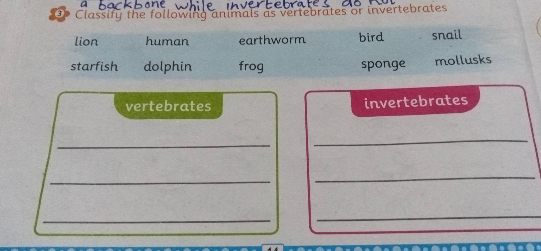 Solved: ③ Classify the following animals as vertebrates or ...