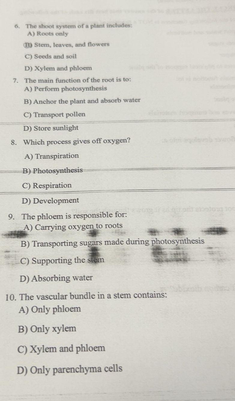 Solved: The shoot system of a plant includes: A) Roots only B) Stem ...