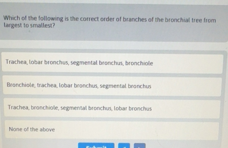 Solved: Which of the following is the correct order of branches of the ...
