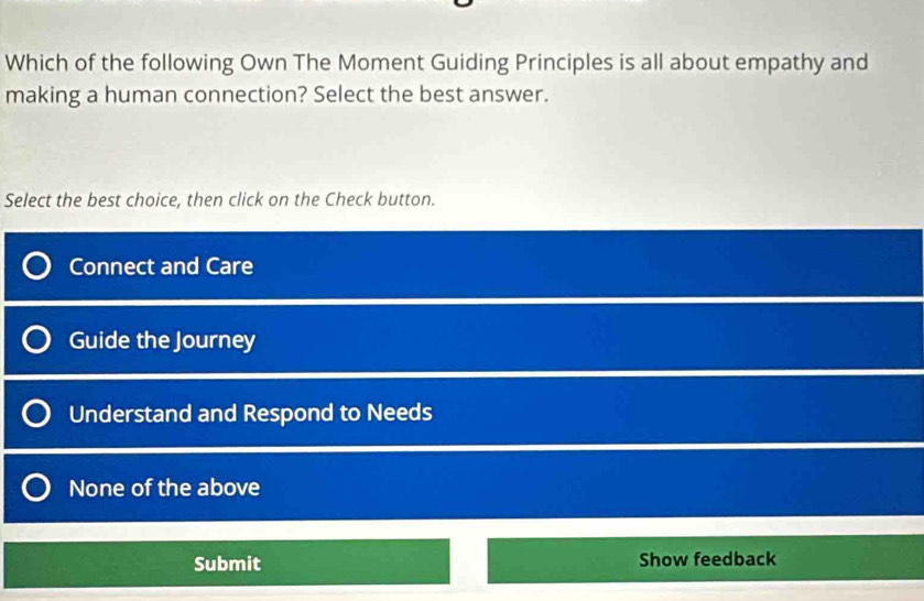 Solved: Which of the following Own The Moment Guiding Principles is all ...