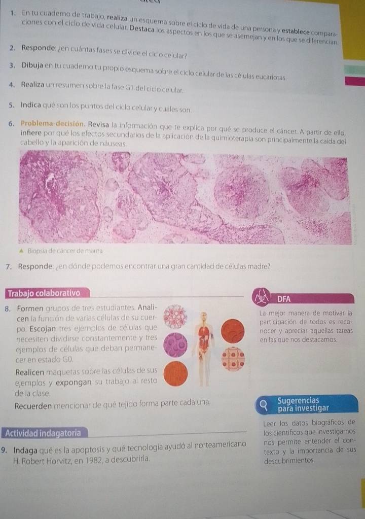 Resuelto:En tu cuaderno de trabajo, realiza un esquema sobre el ciclo ...