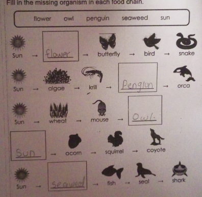 Solved: Fill in the missing organism in each food chain. flower owl ...