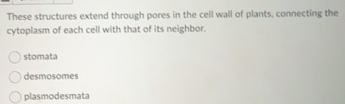 Solved: These structures extend through pores in the cell wall of ...