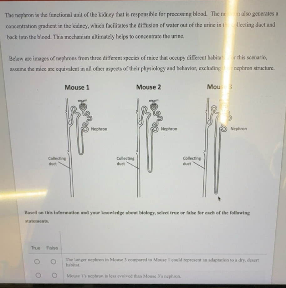Solved: The nephron is the functional unit of the kidney that is ...