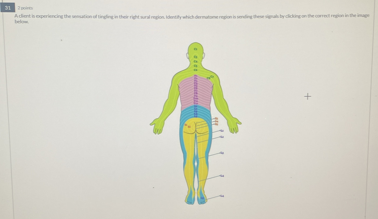 Solved: 31 2 points A client is experiencing the sensation of tingling ...