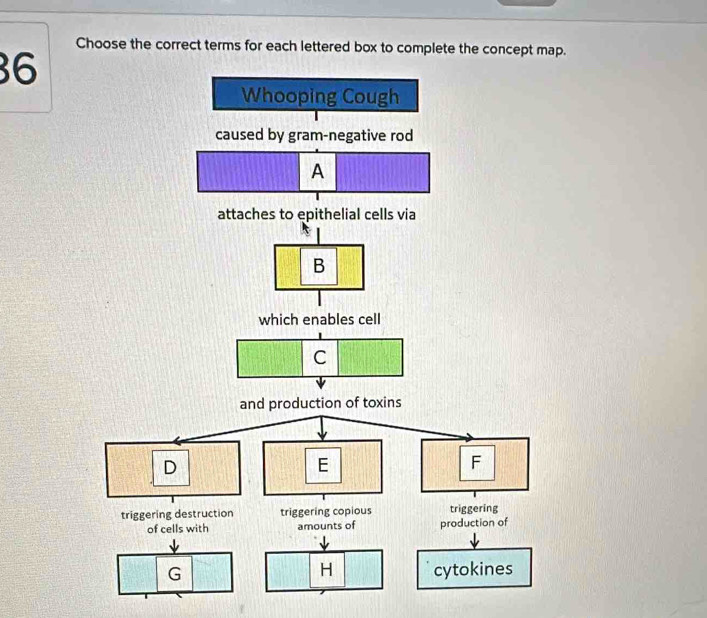 Solved: Choose the correct terms for each lettered box to complete the ...