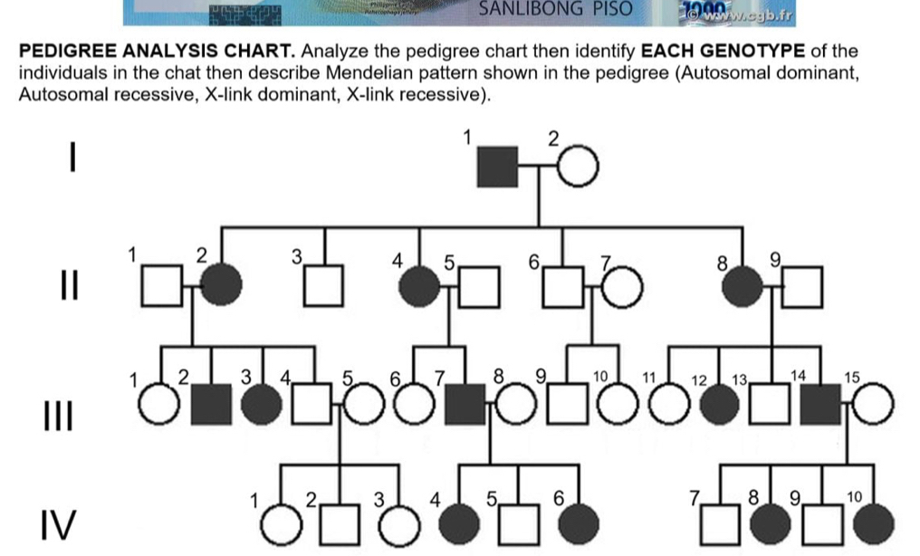 Solved: SANLIBONG PISO 1999 Mcgb.fr PEDIGREE ANALYSIS CHART. Analyze ...
