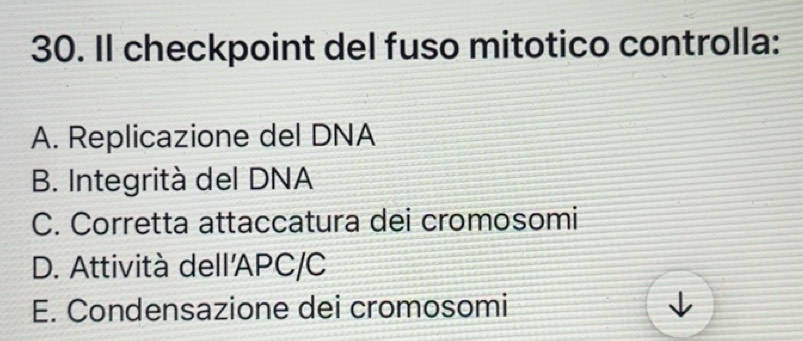 Risolto:Il checkpoint del fuso mitotico controlla: A. Replicazione del ...