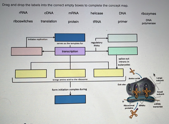 Solved: Drag and drop the labels into the correct empty boxes to ...