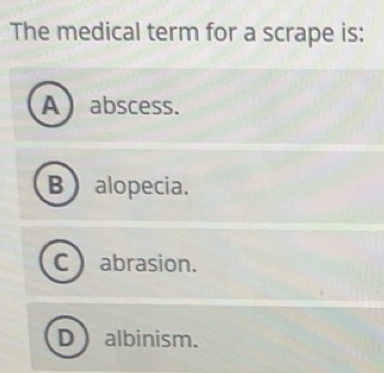 Solved: The medical term for a scrape is: Aabscess. B alopecia. a ...