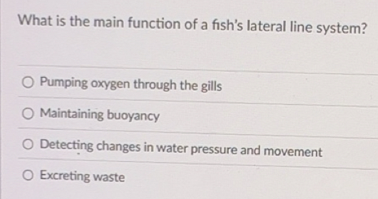 Solved: What is the main function of a fish's lateral line system ...