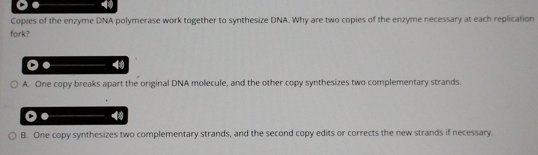 Solved: Copies of the enzyme DNA polymerase work together to synthesize ...