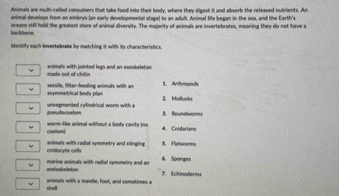 Solved: Animals are multi-celled consumers that take food into their ...