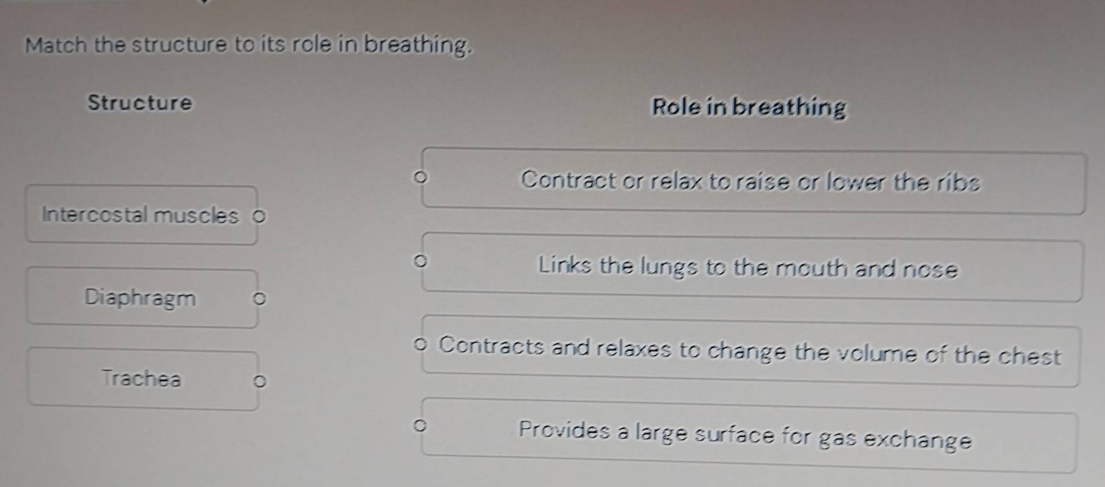 Gelöst:Match the structure to its role in breathing. Structure Role in ...