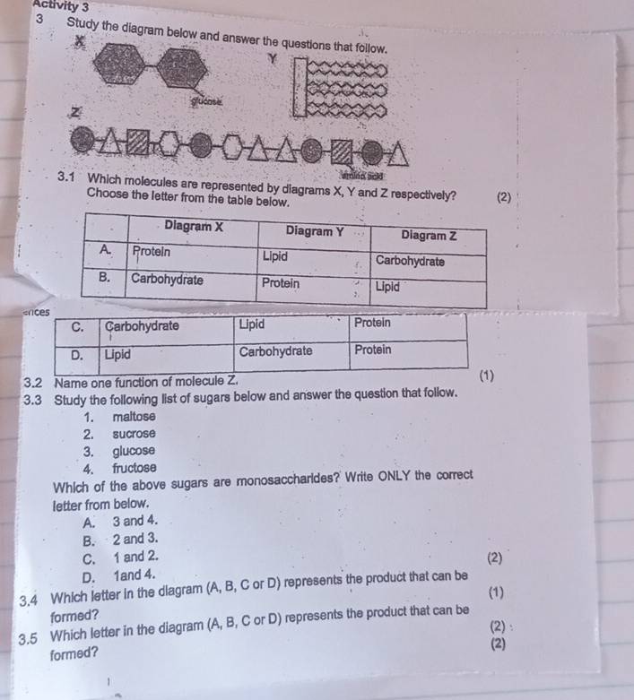 Solved: Activity 3 3 Study the diagram below and answer the questions ...