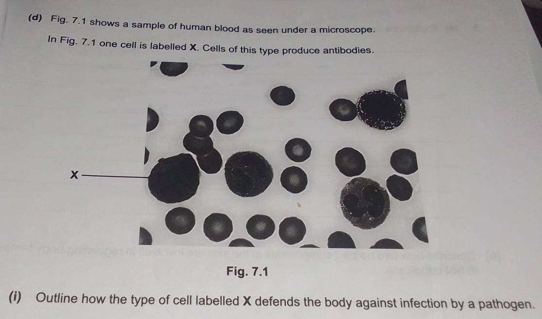 Solved: Fig. 7.1 shows a sample of human blood as seen under a ...
