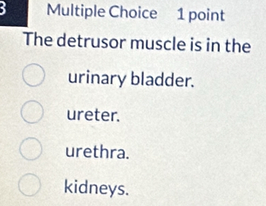Solved: The detrusor muscle is in the urinary bladder. ureter. urethra ...