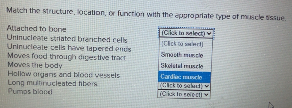 Solved: Match the structure, location, or function with the appropriate ...