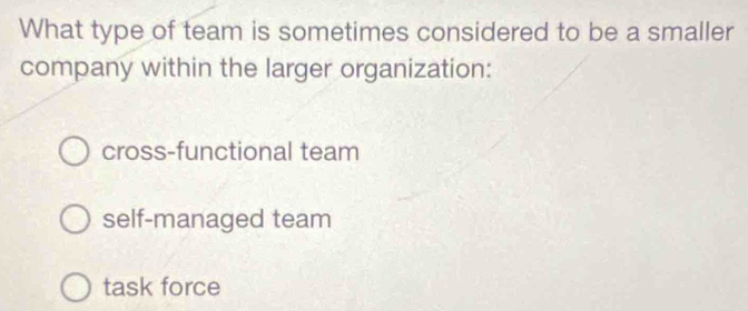Solved: What type of team is sometimes considered to be a smaller ...