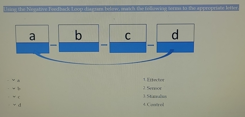 Solved: Using the Negative Feedback Loop diagram below, match the ...