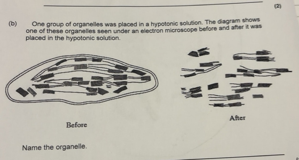 Solved: (2) (b) One group of organelles was placed in a hypotonic ...