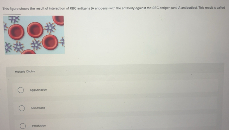 Solved: This figure shows the result of interaction of RBC antigens (A ...