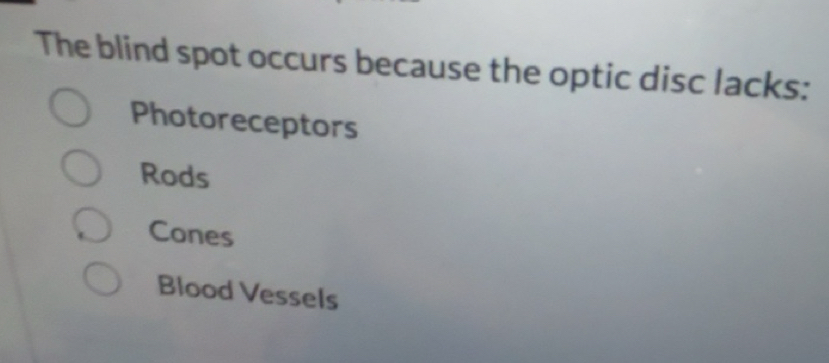 Solved: The blind spot occurs because the optic disc lacks ...