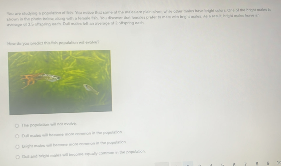 Solved: You are studying a population of fish. You notice that some of ...