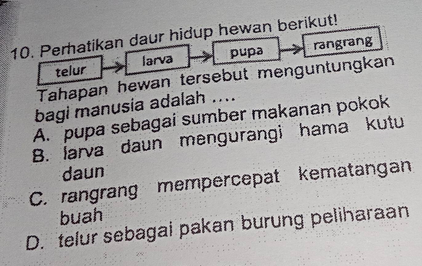 Telah dijawab:Perhatikan daur hidup hewan berikut! telur rəngrang larva ...