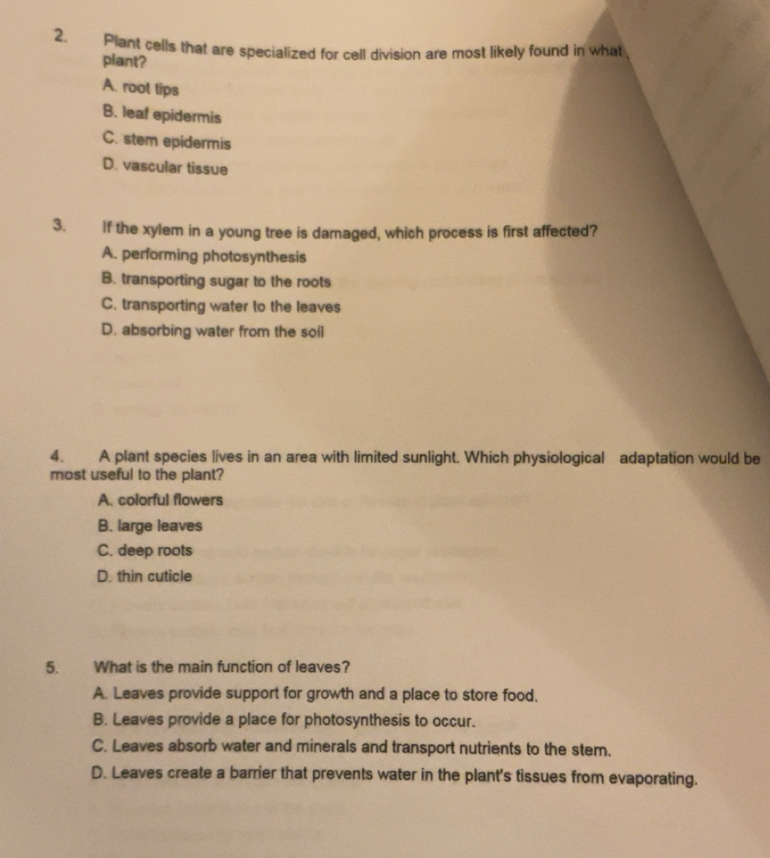 Solved: Plant cells that are specialized for cell division are most ...
