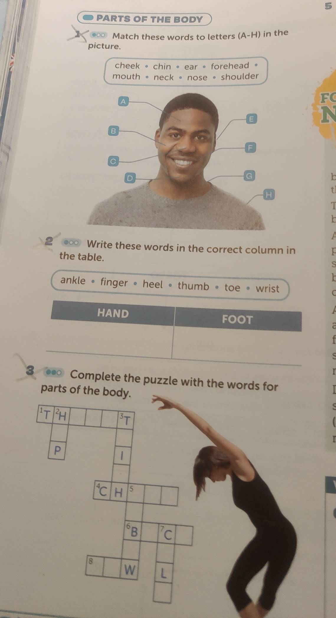 Risolto:PARTS OF THE BODY ∞ Match these words to letters (A-H) in the ...