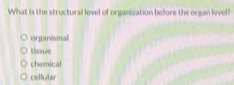 Solved: What is the structural level of organization before the organ ...