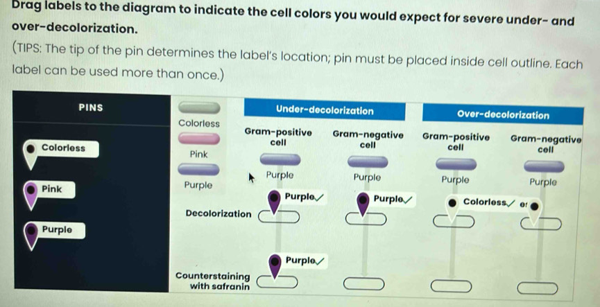 Solved: Drag labels to the diagram to indicate the cell colors you would expect for severe under ...