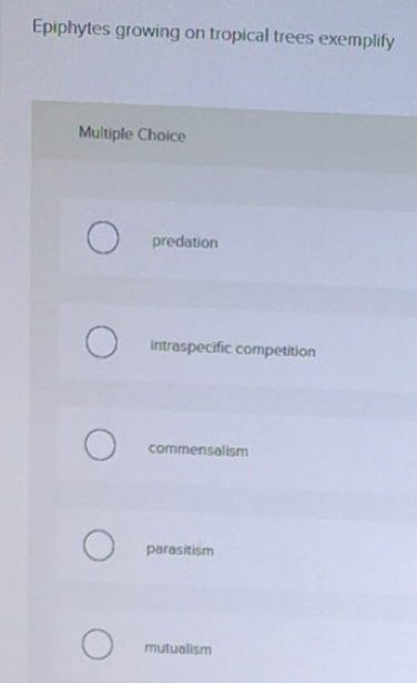 Solved: Epiphytes growing on tropical trees exemplify Multiple Choice ...