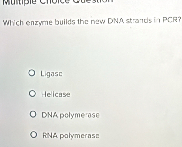 Solved: Multipie Choice à Which enzyme builds the new DNA strands in ...