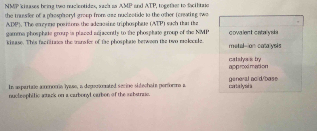 Solved: NMP kinases bring two nucleotides, such as AMP and ATP ...