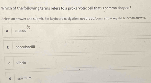 Solved: Which of the following terms refers to a prokaryotic cell that ...
