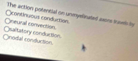 Solved: The action potential on unmyelinated axons travels by ...