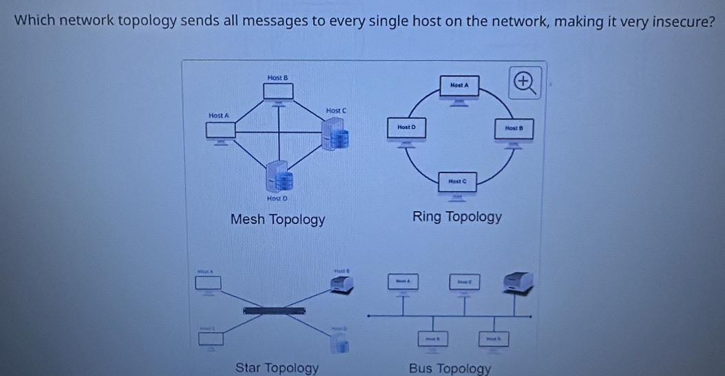 Solved: Which network topology sends all messages to every single host ...