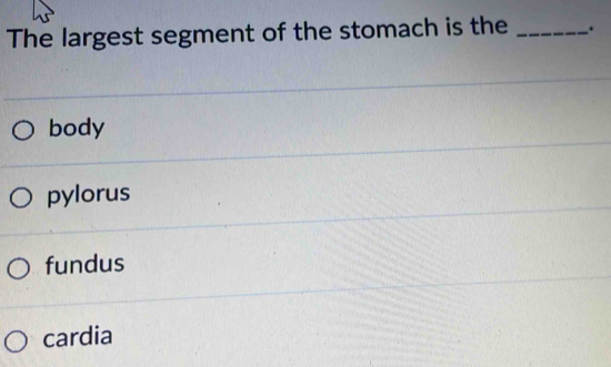 Solved: The largest segment of the stomach is the _. body pylorus ...
