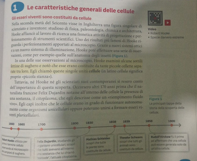 Risolto:Le caratteristiche generali delle cellule Gli esseri viventi ...
